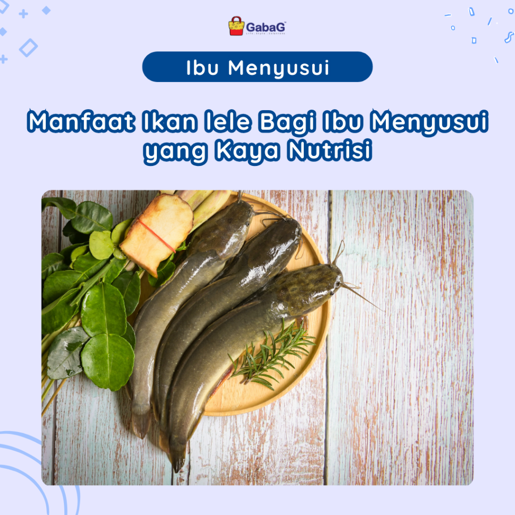 Manfaat Ikan lele Bagi Ibu Menyusui yang Kaya Nutrisi - Gabag Indonesia